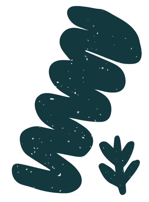 Illustration Services - Design Studio Service Illustration Services - Design Studio Service